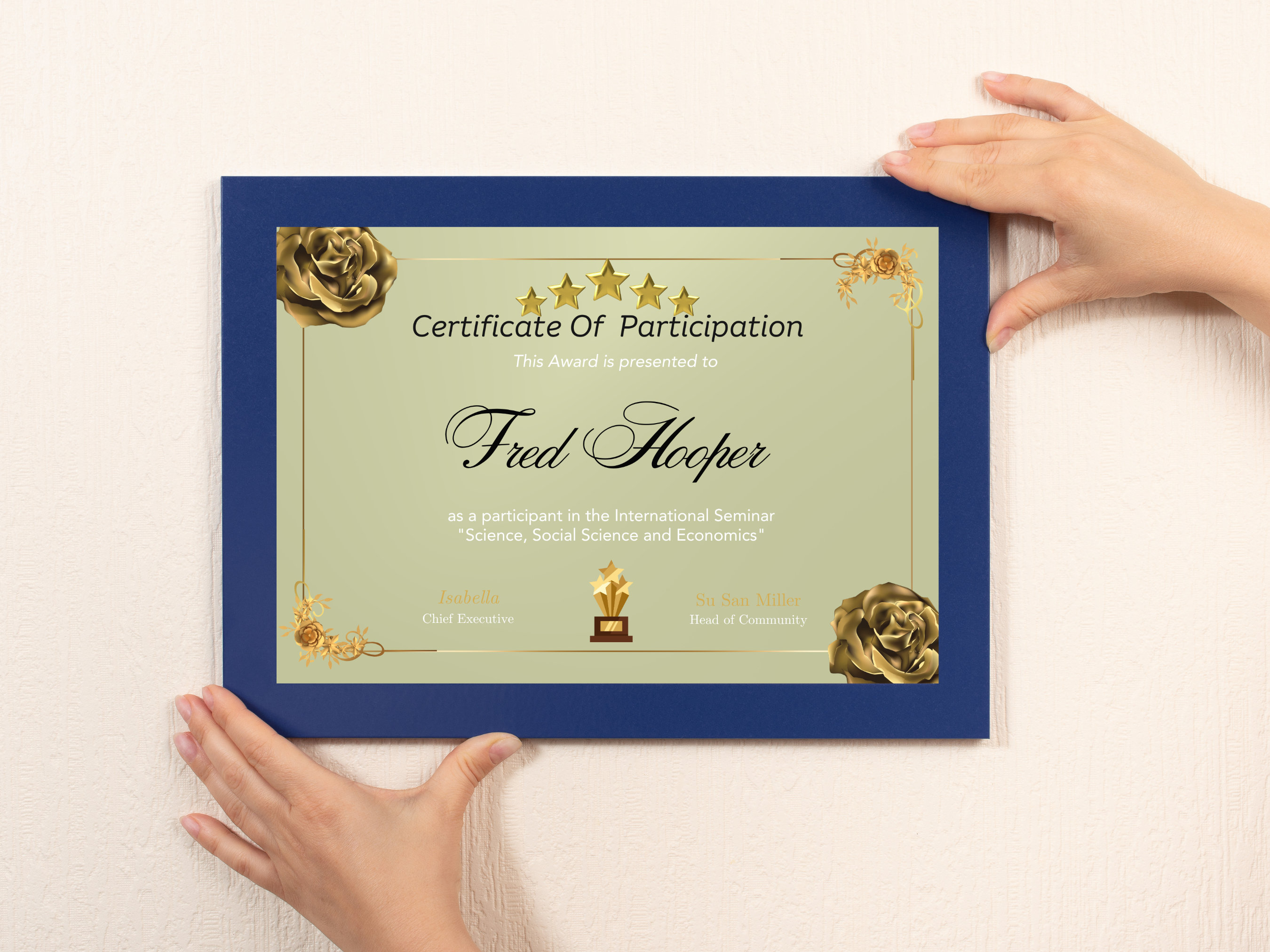 Participation Certificate Award| Recognition Award Display| Award ...