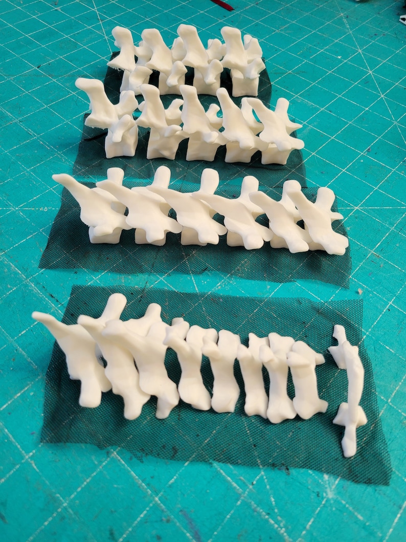 3D Printed Black Spinal Column: Halloween Costume Cosplay Skeletal ...