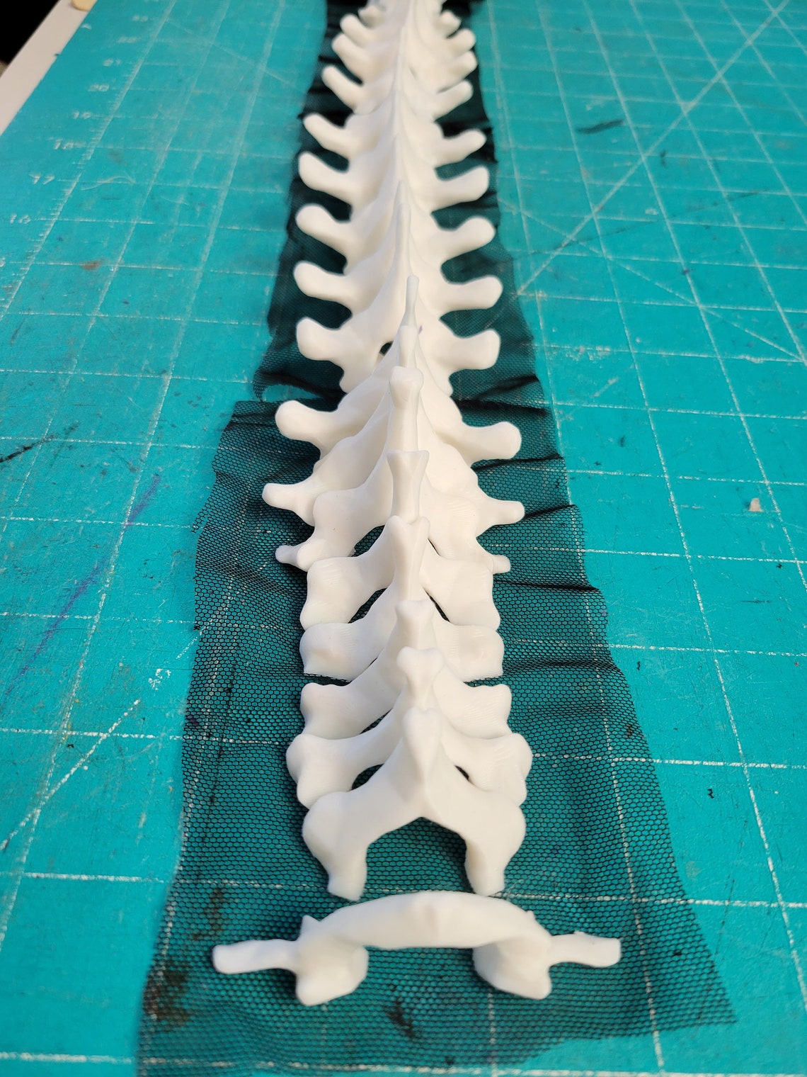 3D Printed Black Spinal Column: Halloween Costume Cosplay Skeletal ...