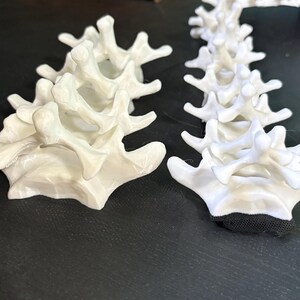 3D Spinal Column: Bones White Printed Black Mesh - Halloween Costume or ...