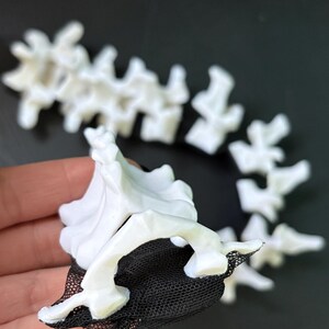 3D Spinal Column: Bones White Printed Black Mesh - Halloween Costume or ...