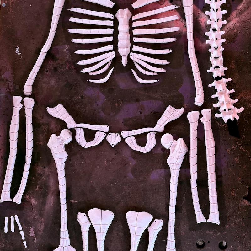 Skeleton Freak Costume - Etsy