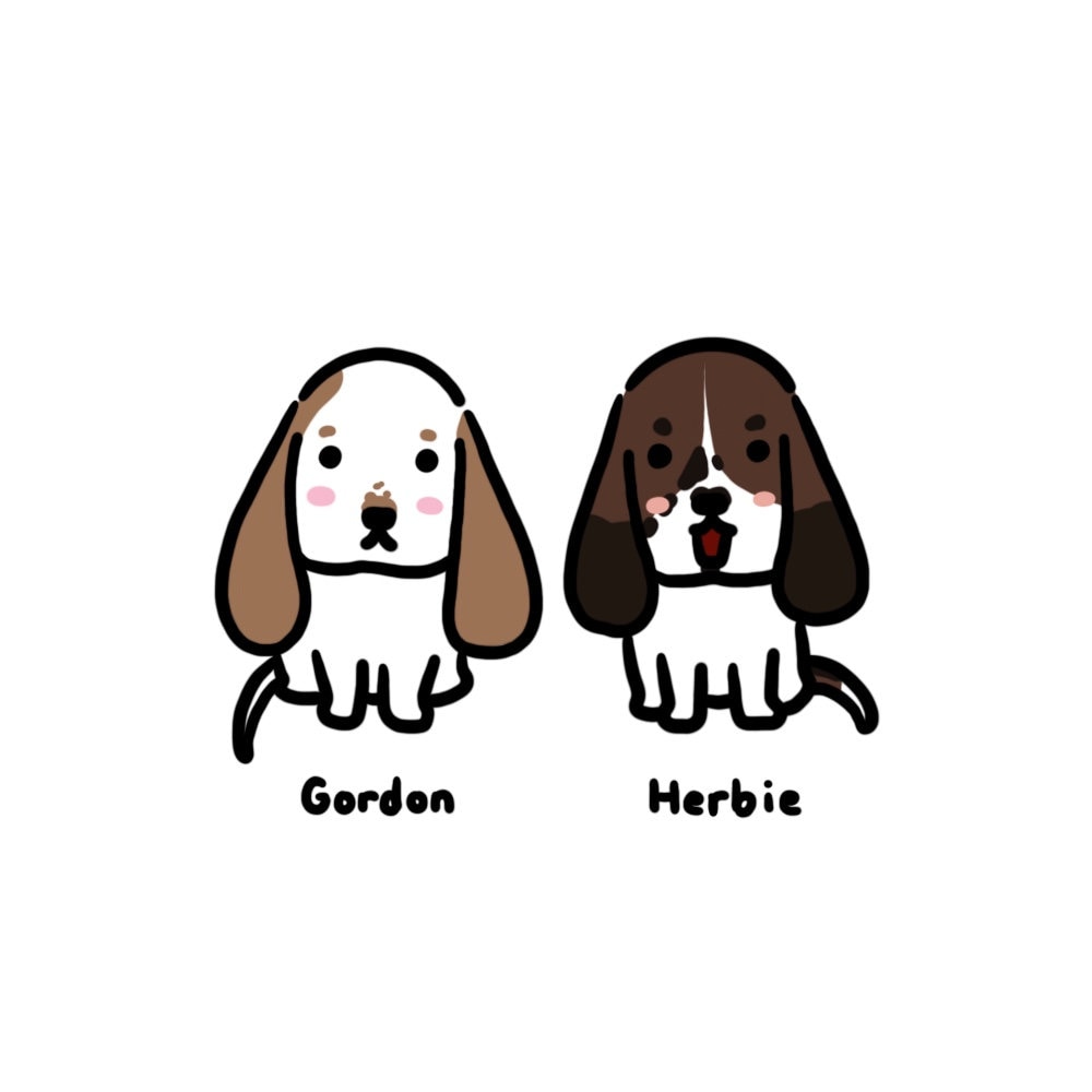 Pet Portrait Cute Pet Drawing Chibi Pet Illustration Kawaii - Etsy