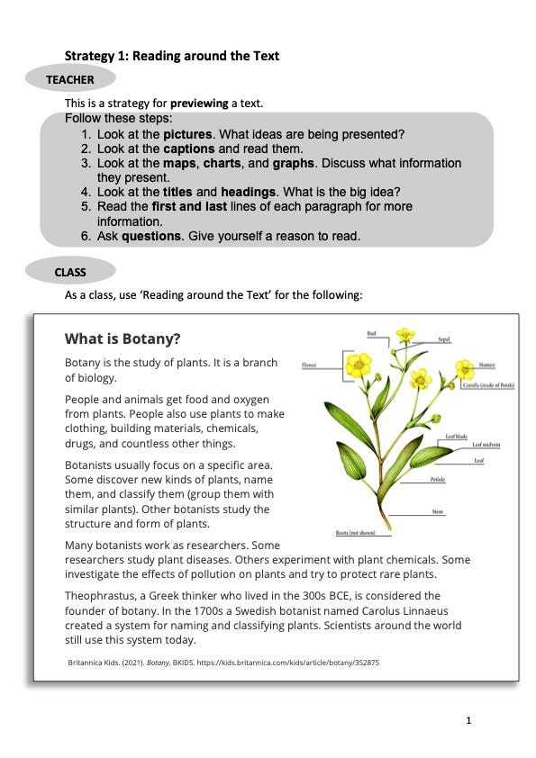 Reading Strategies: Work Booklet for Middle School, Worksheets, School ...