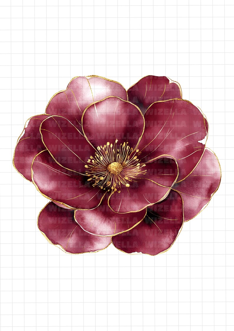 53 Burgundy and Gold Abstract Flowers Clipart, Watercolor Floral PNG ...