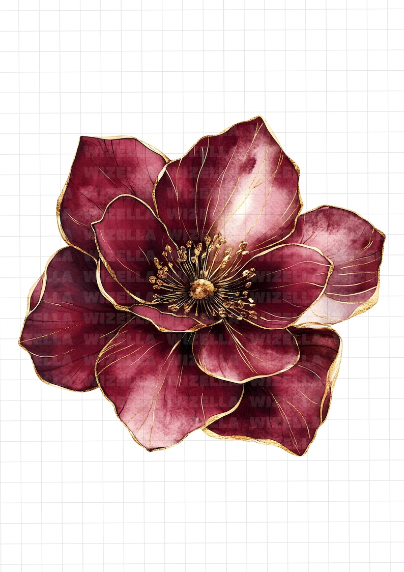 53 Burgundy and Gold Abstract Flowers Clipart, Watercolor Floral PNG ...