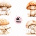 Cute Mushroom Clipart Kawaii & Funny Toadstool PNG 70 Digital Nature ...