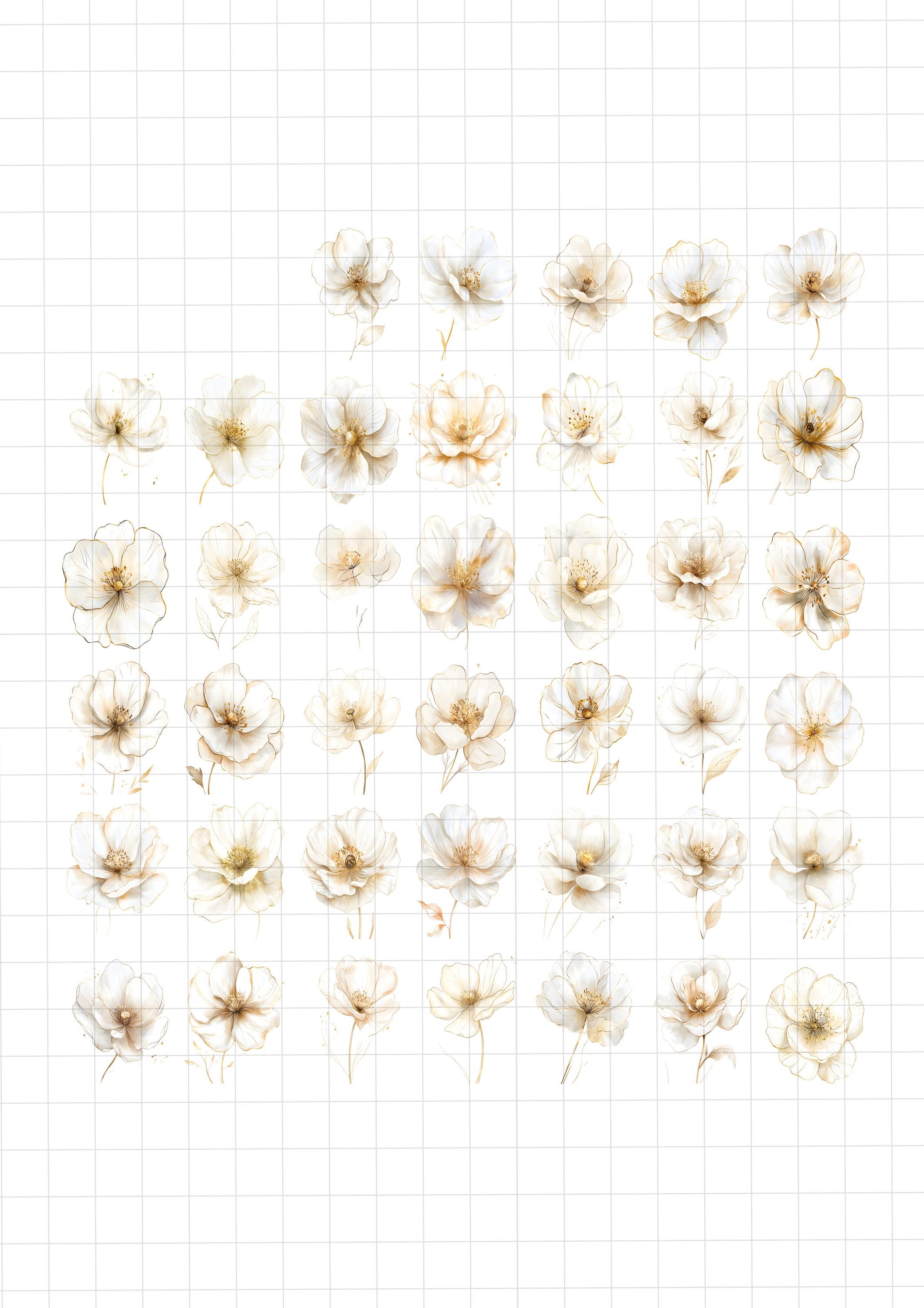 40 Cream and Gold Abstract Flowers Clipart, Watercolor Floral PNG, Boho ...