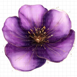 22 Purple and Gold Abstract Flowers Clipart, Watercolor Floral PNG ...
