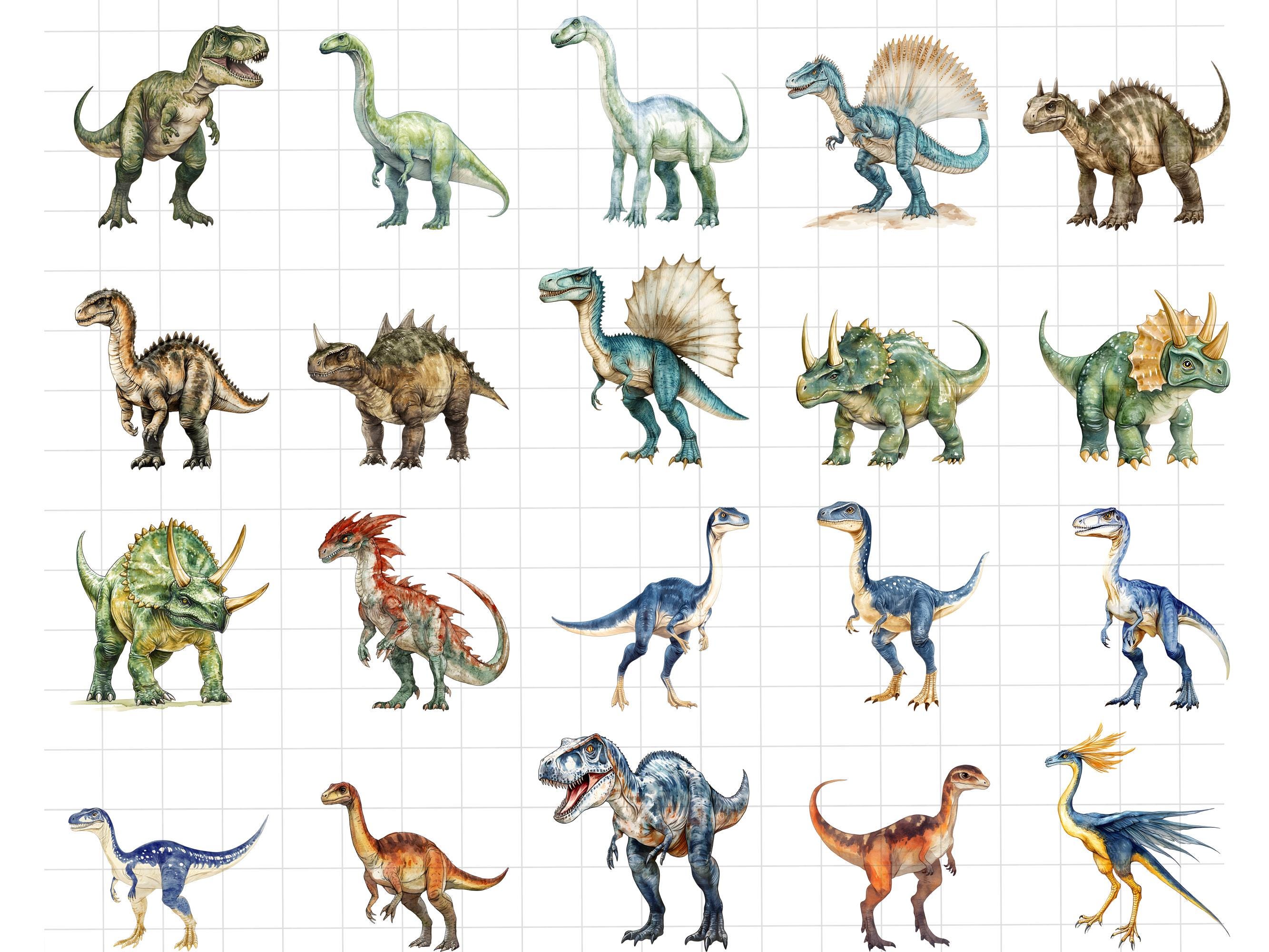 161 Realistic Dinosaur Clipart - Watercolor, Boho Dino PNG ...