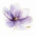 56 Lavender and Gold Abstract Flowers Clipart, Watercolor Floral PNG ...