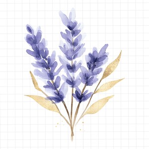56 Lavender and Gold Abstract Flowers Clipart, Watercolor Floral PNG ...