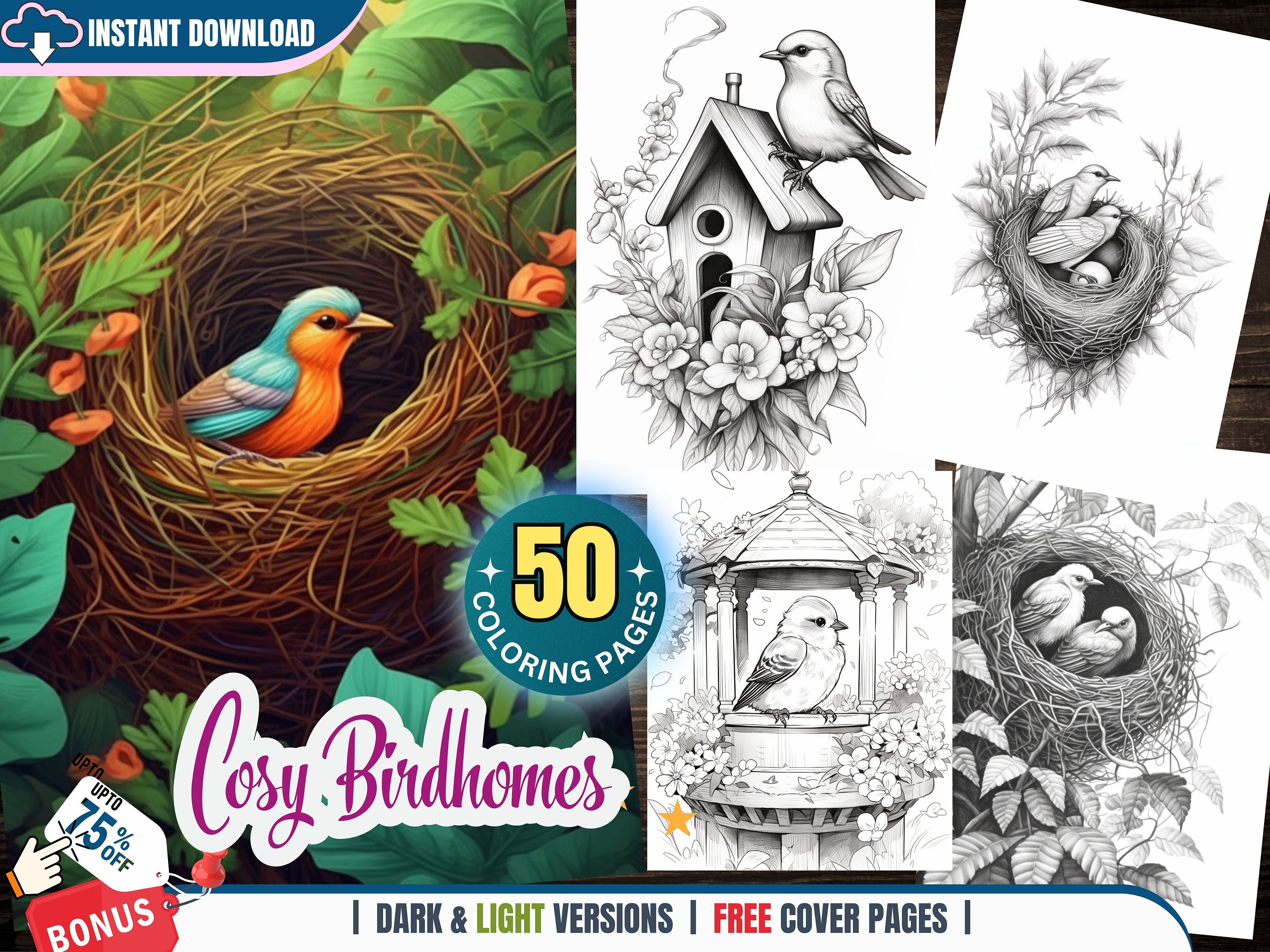 Free Bird Houses Coloring Pages