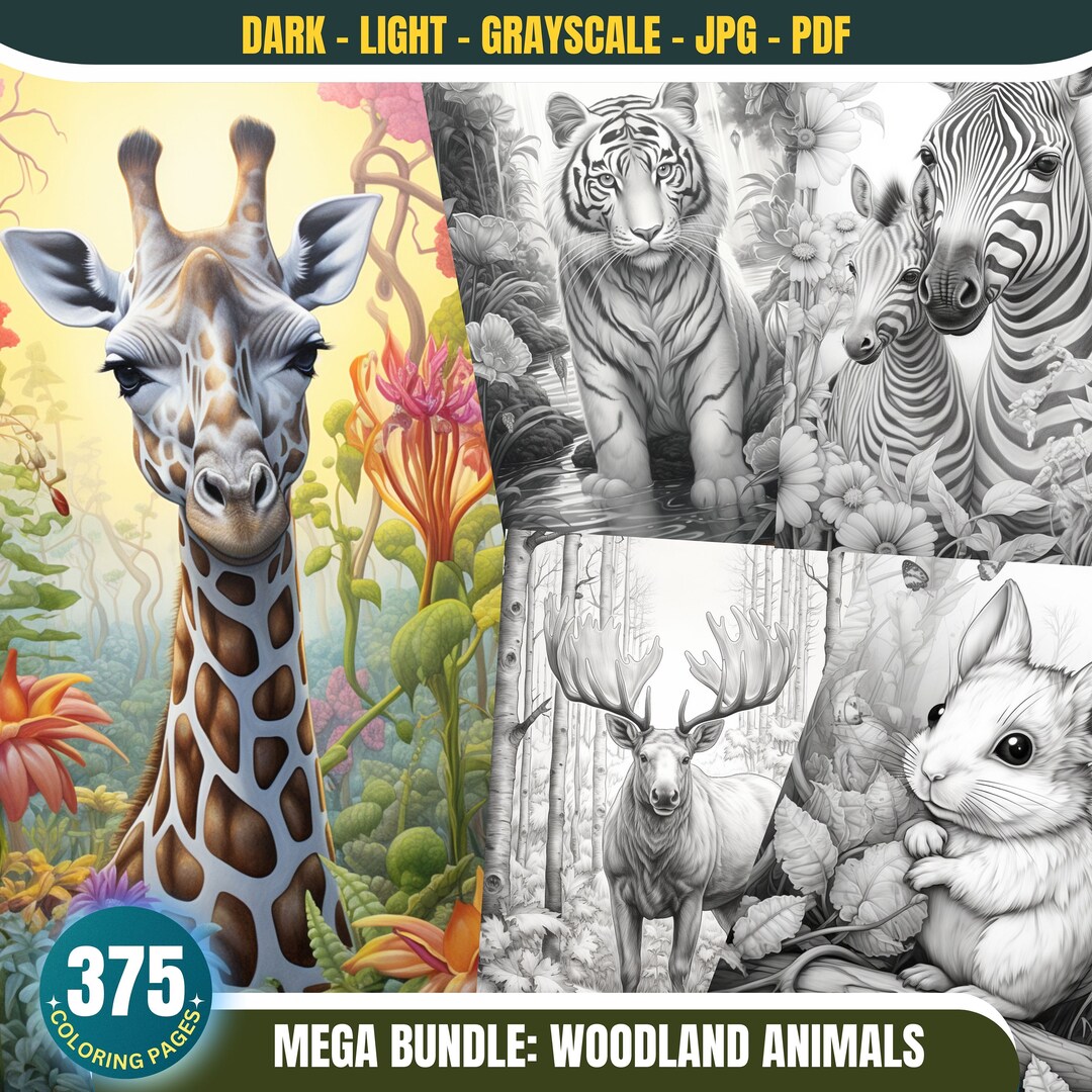 375 Woodland Animals Coloring Pages Mega Bundle for Adults and Kids ...