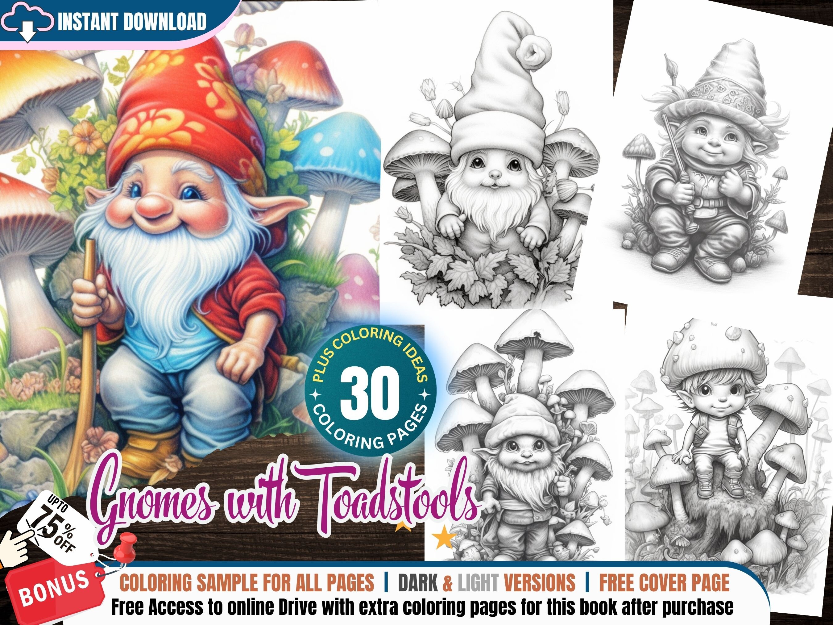 30 Enchanted Gnomes With Toadstool Coloring Pages for Adults - Etsy