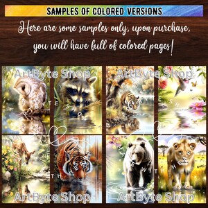 Animal Kingdom 4: Stunning Reflections - 66 Coloring Pages for Adults ...