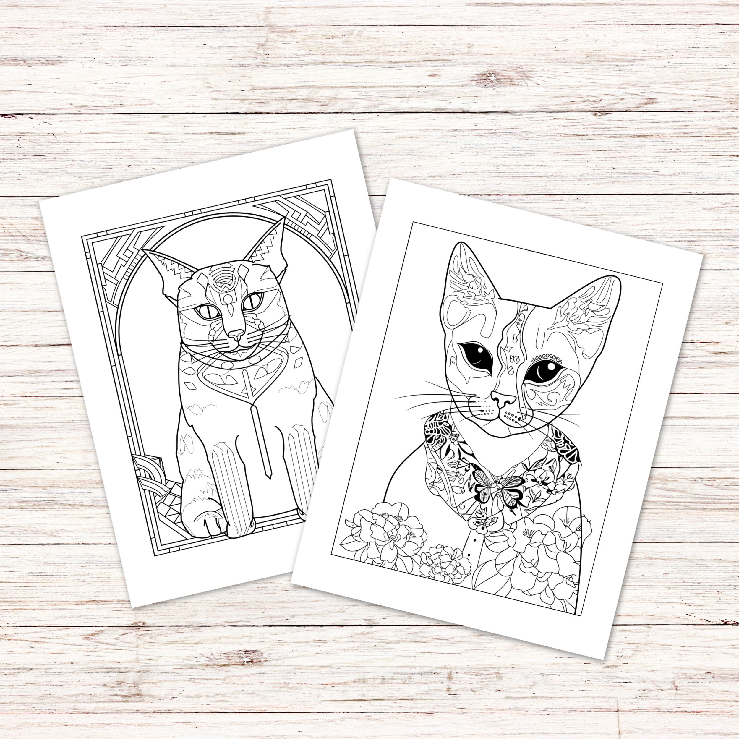 Cute Cat Portraits, Coloring Pages for Kitty Lovers, 33 Pages Cute ...