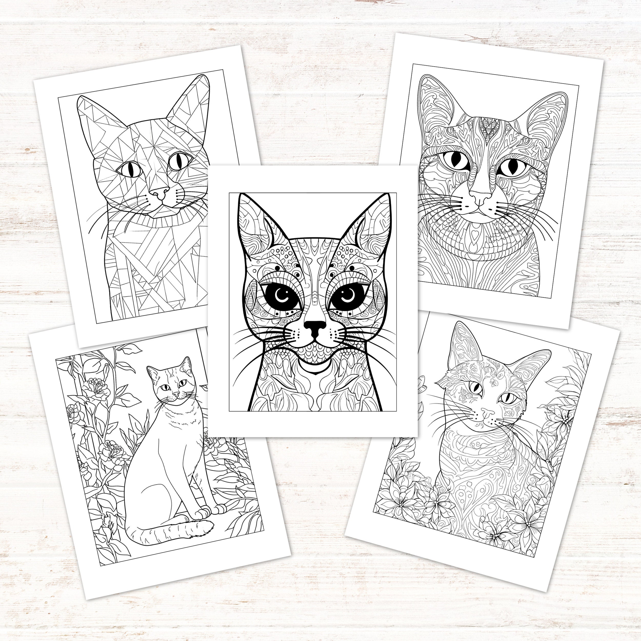 Cute Cat Portraits, Coloring Pages for Kitty Lovers, 33 Pages Cute ...