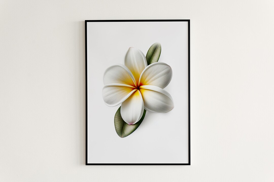 Printable White Frangipani Flower, Wall Art Digital Download - Etsy