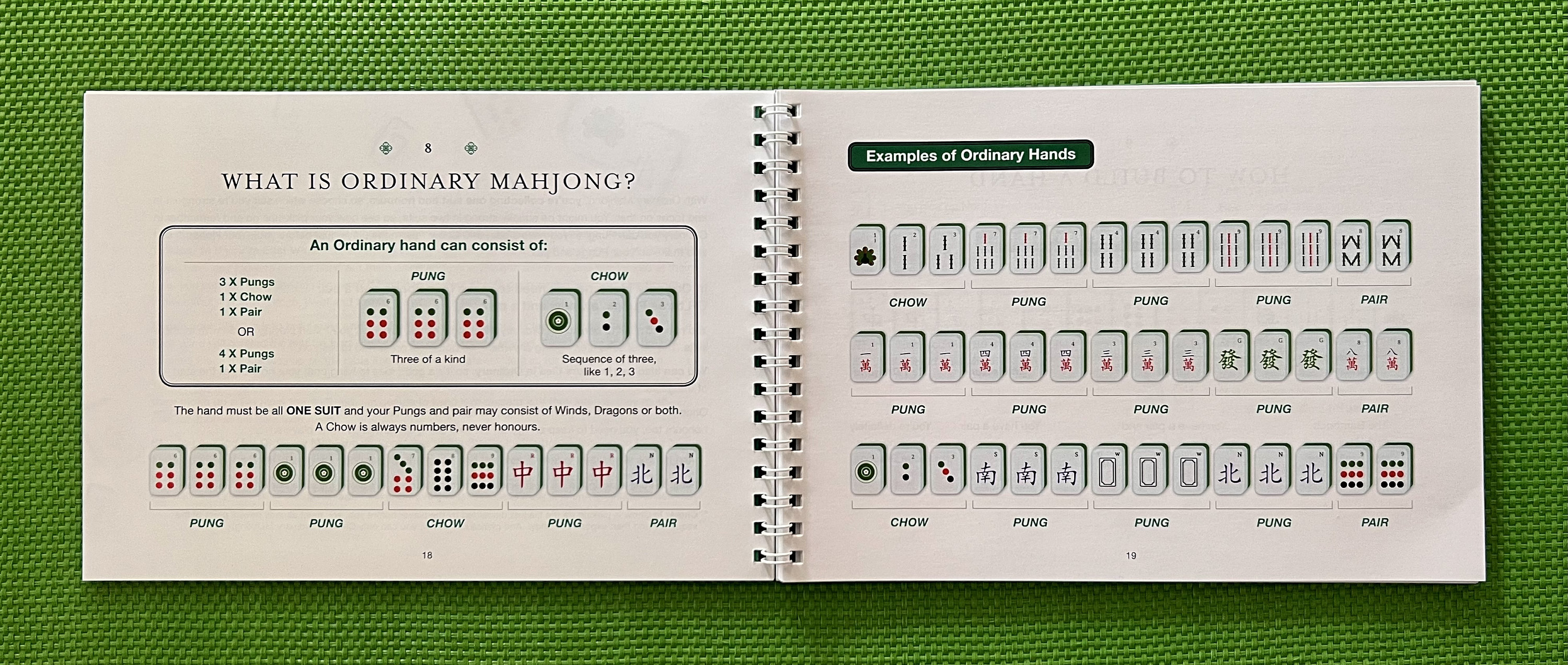 Chow & Pung the Social Mahjong Players Guide - Etsy