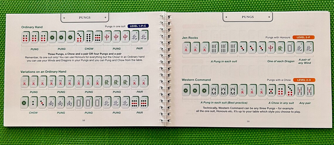 Chow & Pung the Social Mahjong Players Guide - Etsy