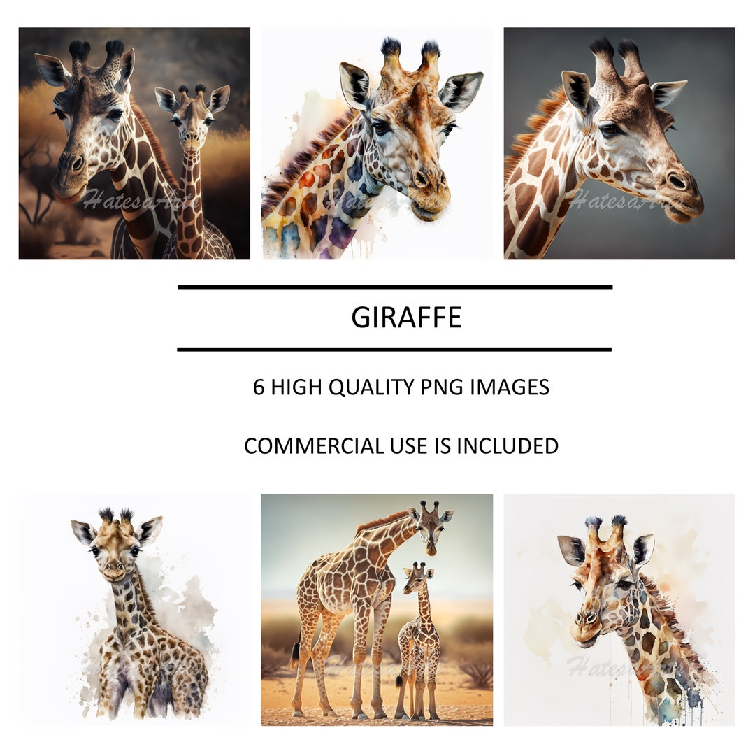 Giraffe I 6 High Quality Pngs I Junk Journal, Digital Planner, Wall Art ...