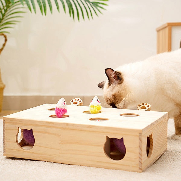 Wooden Cat Toys - Etsy