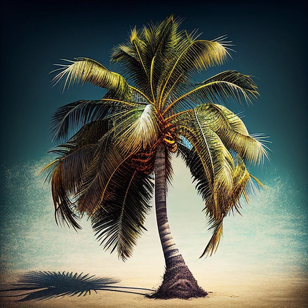 Oasis Palm Tree - Etsy