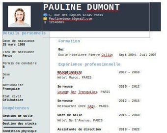 CV, Curriculum Vitae, Model, Template, Work - Etsy