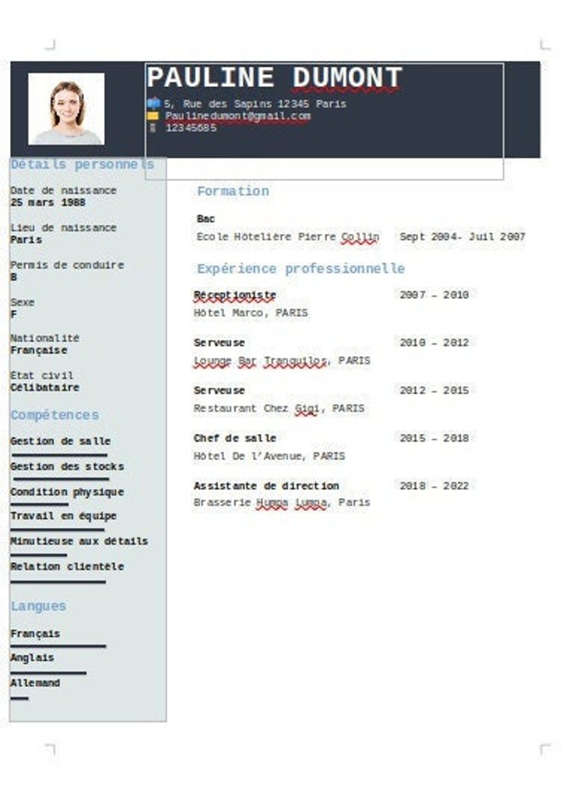 CV, Curriculum Vitae, Letter, Jo, Job, Template - Etsy