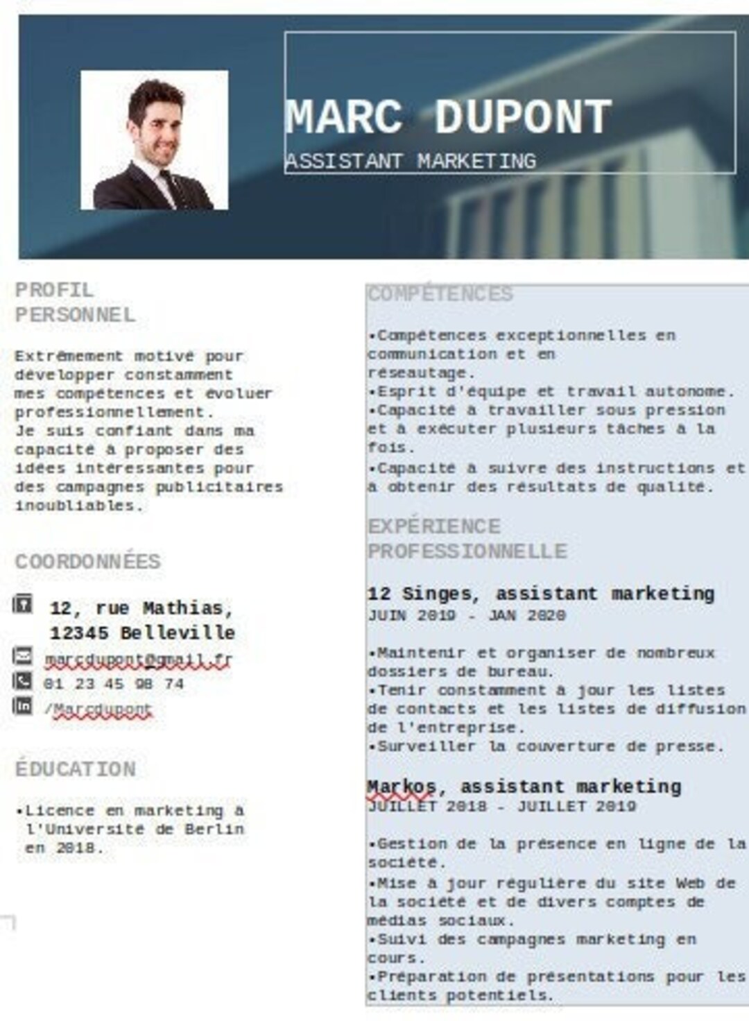 CV, Curriculum Vitae, Model, Template, Work - Etsy