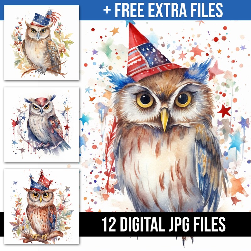 Patriotic Owl - Etsy