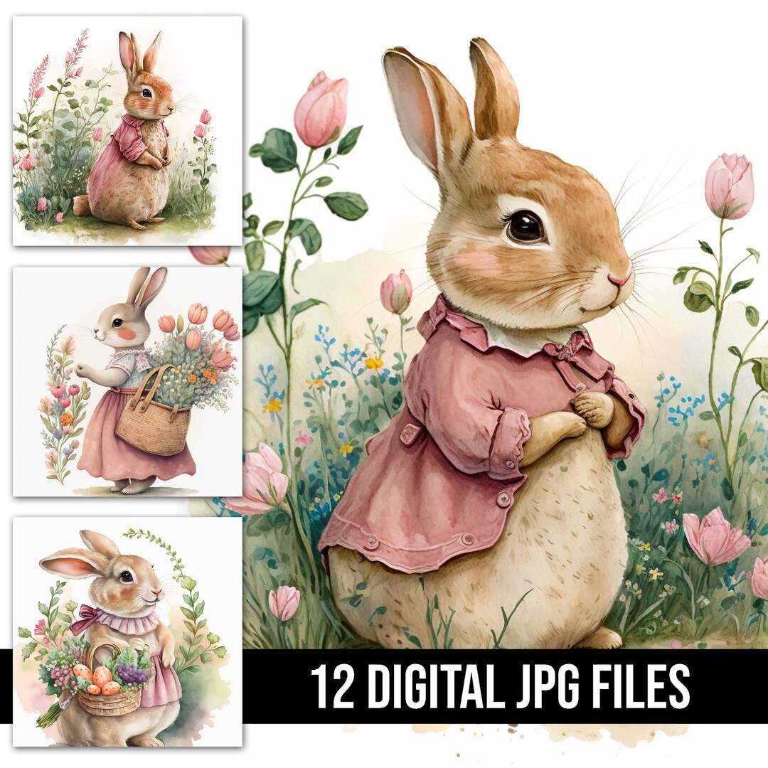 Watercolor Rabbit Illustration Bundle Collection High Quality Rabbit ...