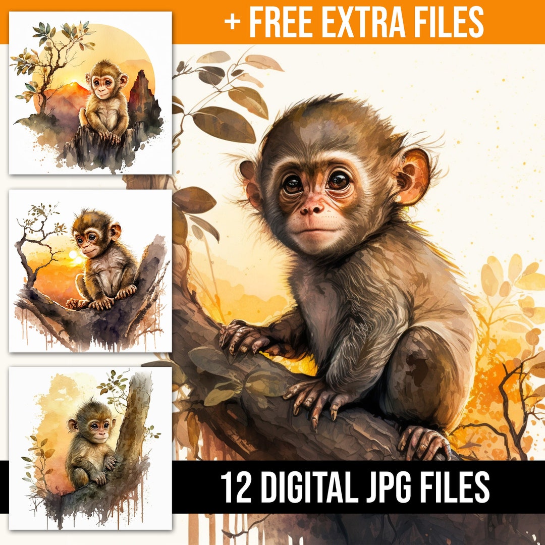 Watercolor Baby Monkey Illustration Bundle Collection High Quality Baby ...