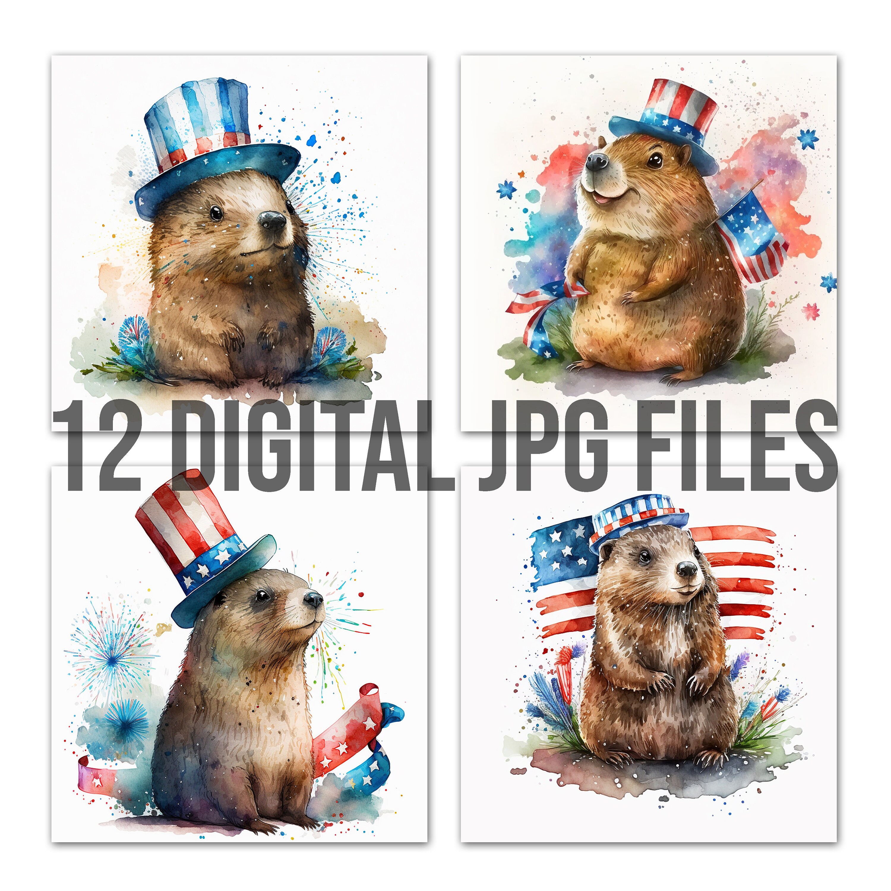 Groundhog Clip Art, Groundhog Day Clip Art, Independence Day ...