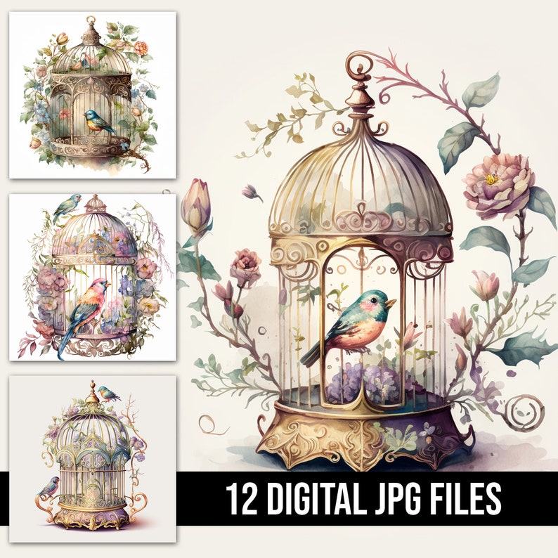 Watercolor Birdcage Illustration Bundle Collection High Quality ...