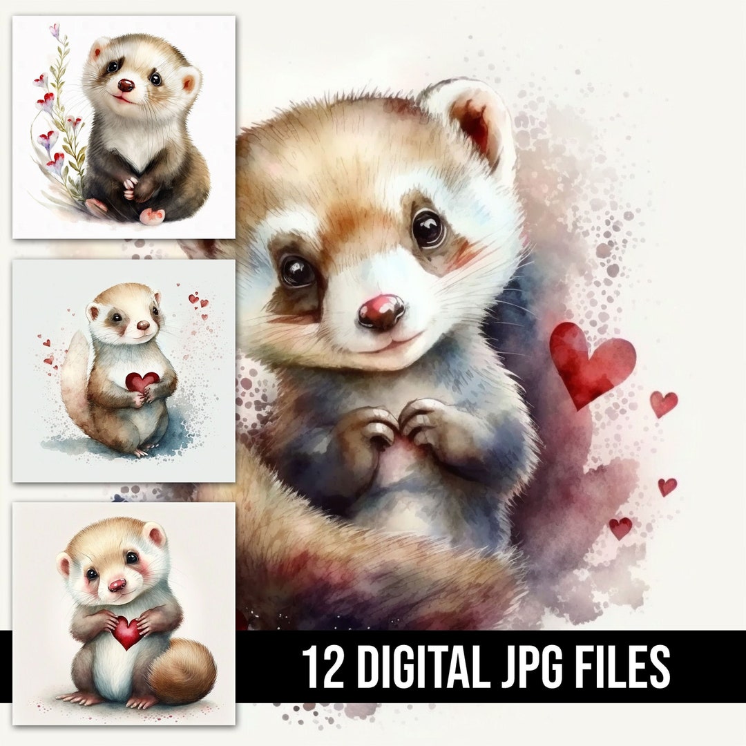 Set of 12 Ferret Digital Prints Wall Art Printable Bundle Commercial ...