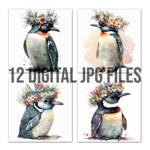 Watercolor Penguin Clip Art, Cute Penguins Clip Art Set, Digital ...