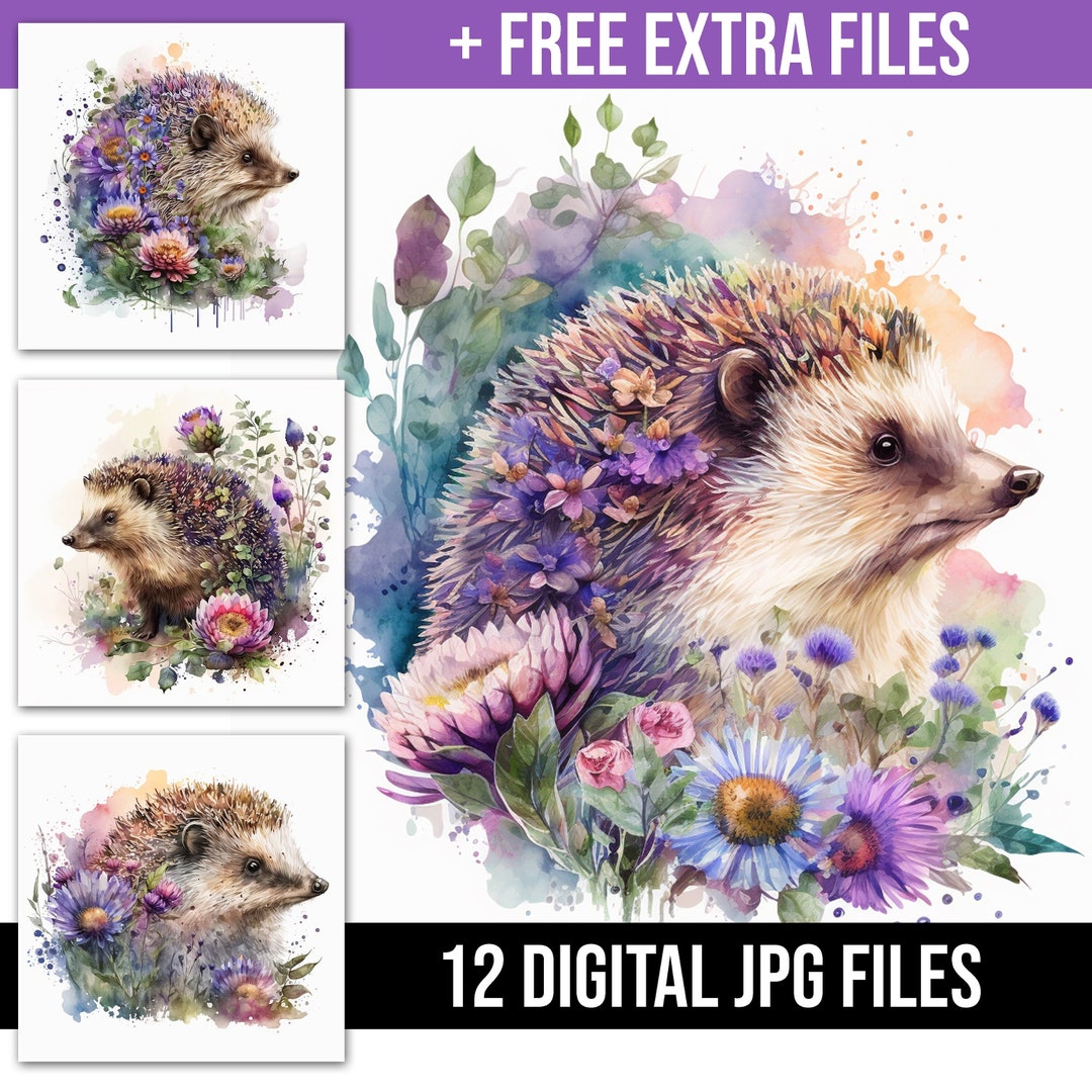 Watercolor Hedgehog Illustration Bundle Collection High Quality ...