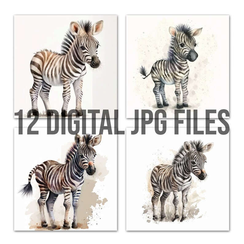 Watercolor Baby Zebra Illustration Bundle Collection High Quality Baby ...