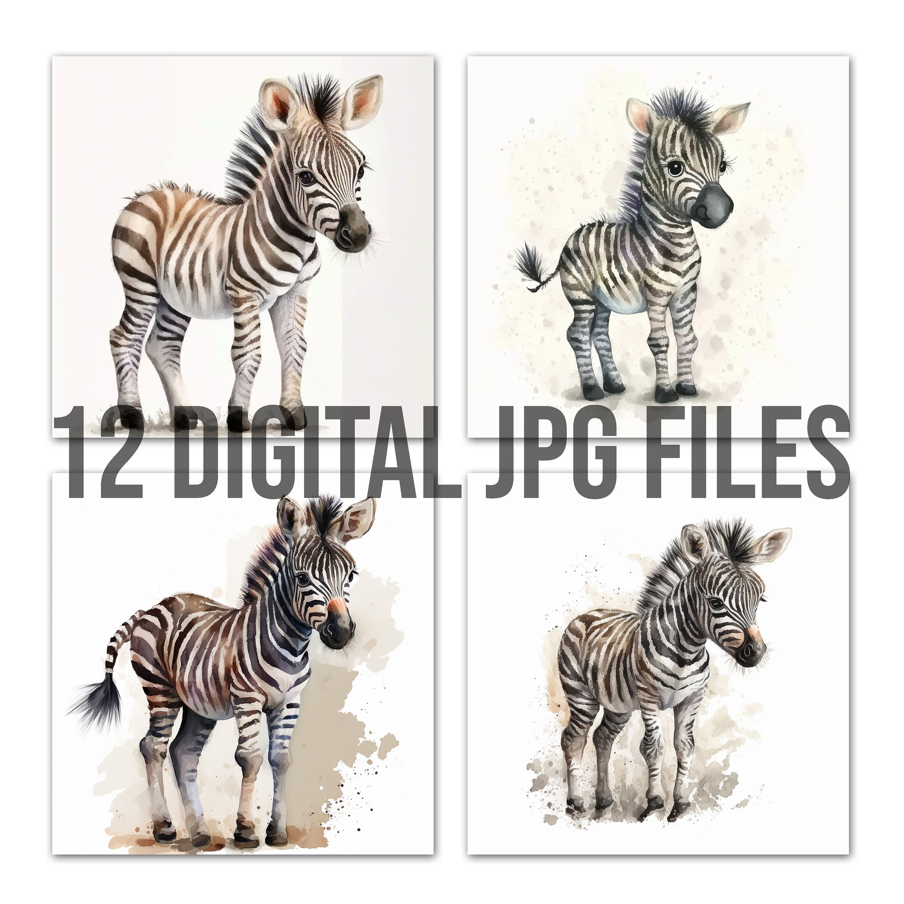 Watercolor Baby Zebra Illustration Bundle Collection High Quality Baby ...