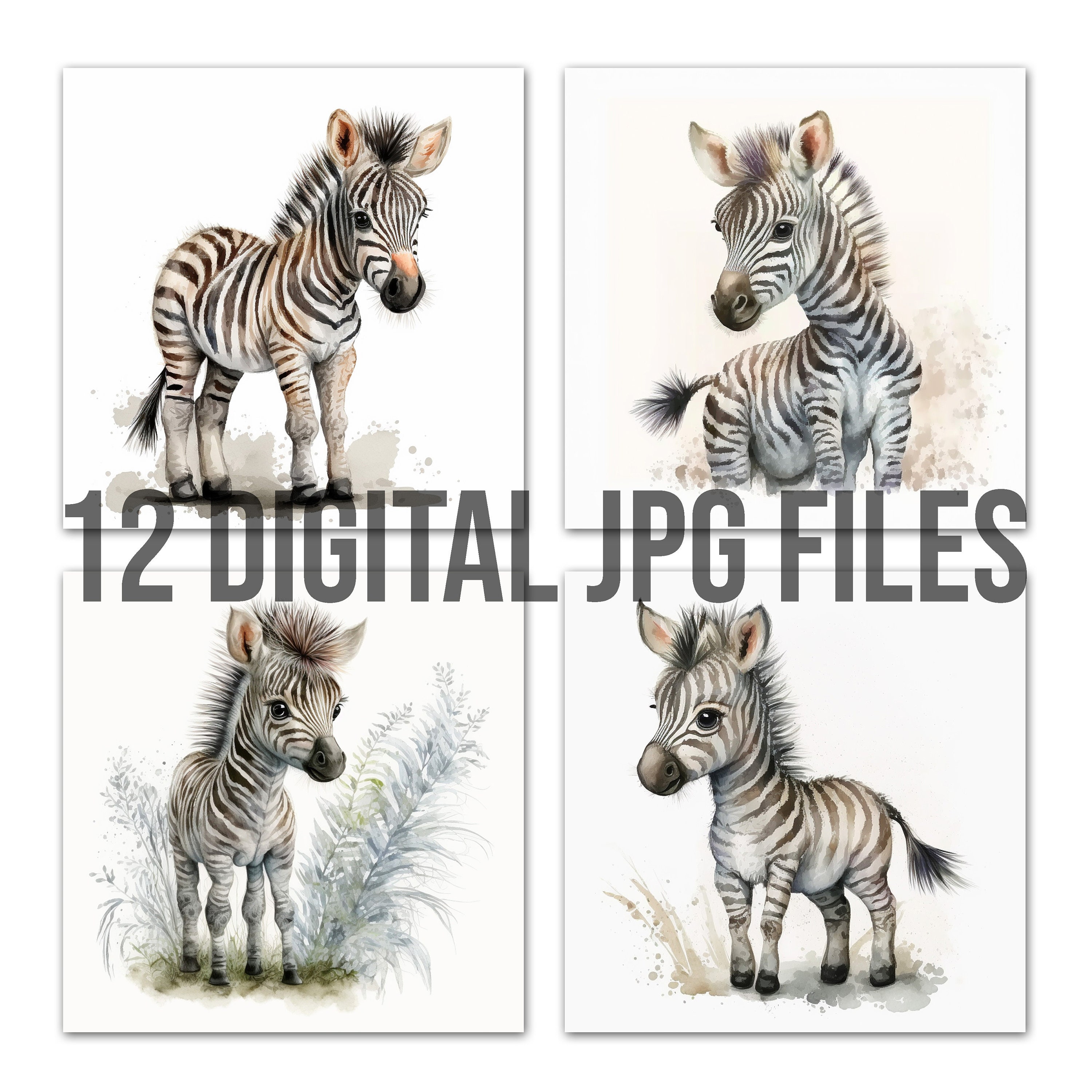 Watercolor Baby Zebra Illustration Bundle Collection High Quality Baby ...