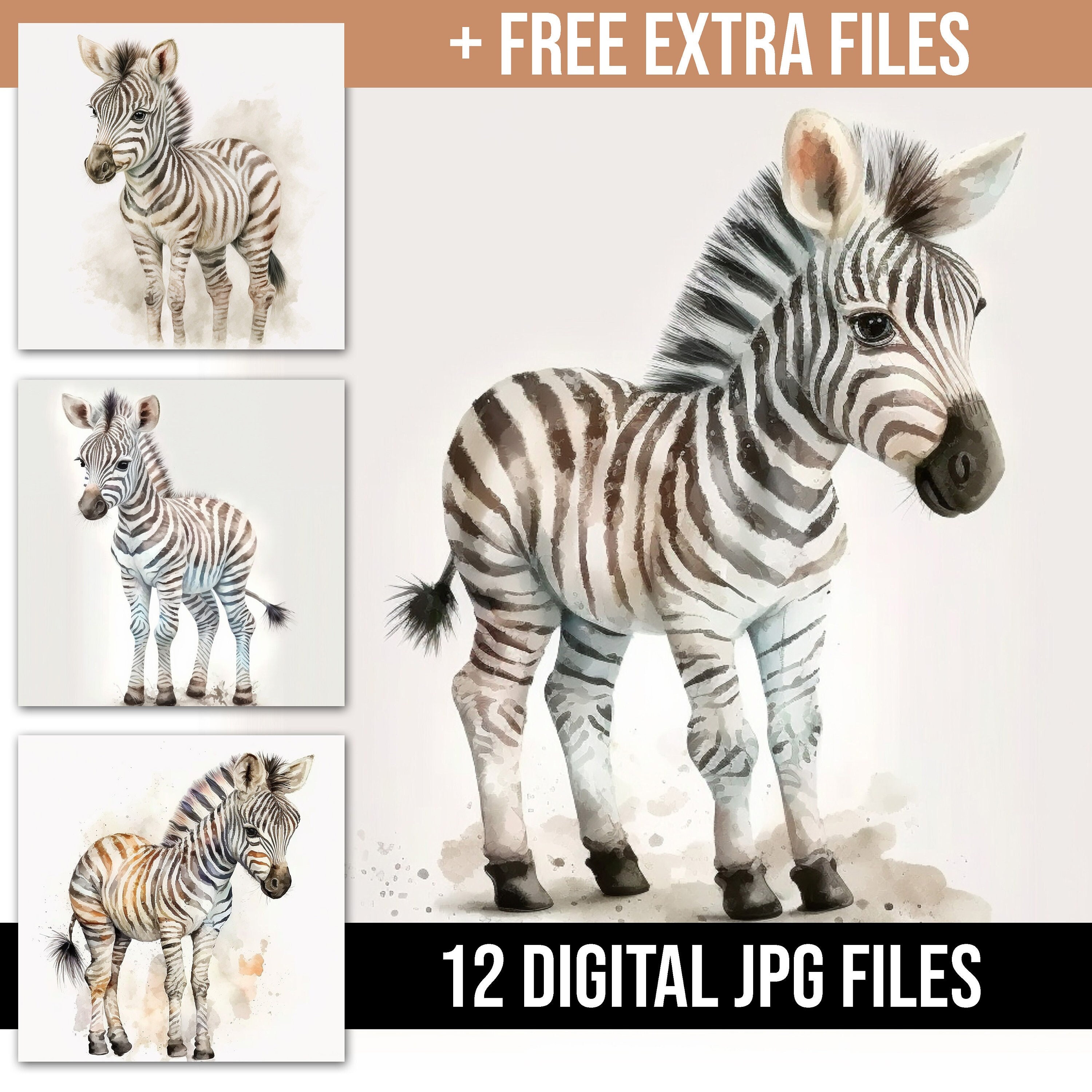 Watercolor Baby Zebra Illustration Bundle Collection High Quality Baby ...
