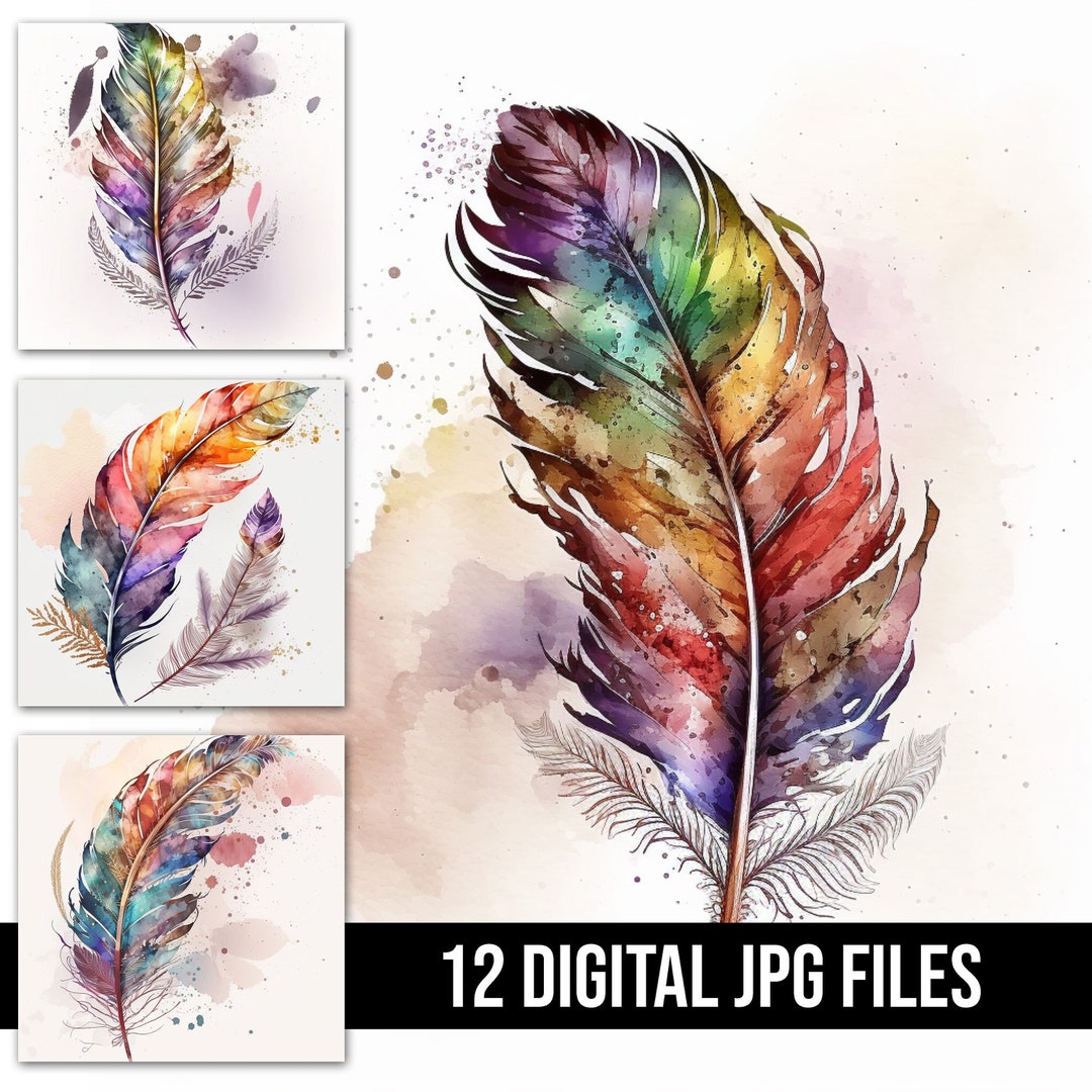 Watercolor Rainbow Feather Illustration Bundle Collection - Etsy