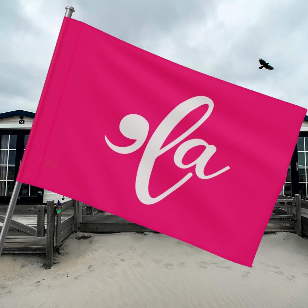 Kamala Harris 2024 Flag La Comma, PINK Election Flag, Vote 2024 ...