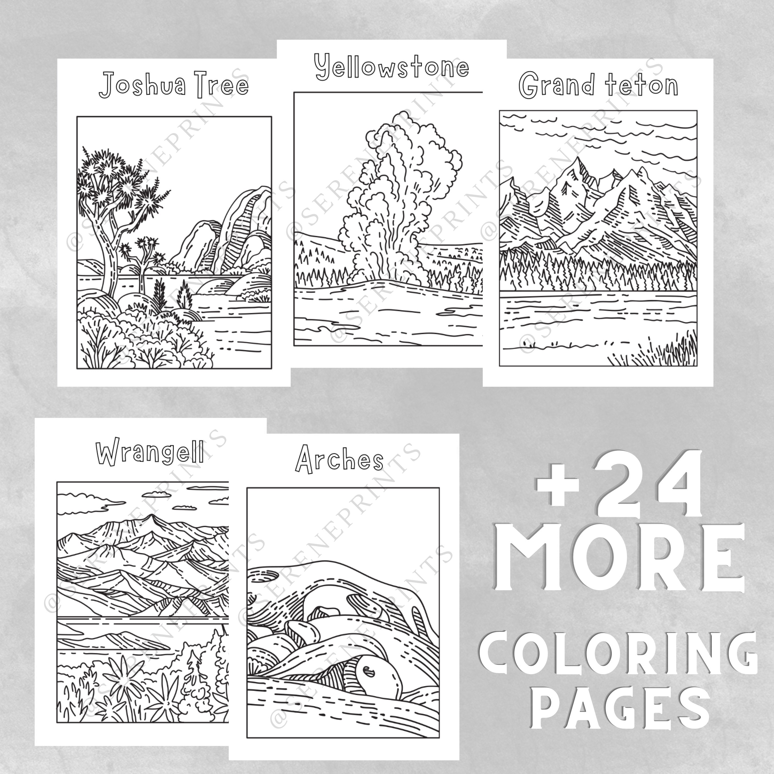 National Park Activity Book for Kids - Etsy