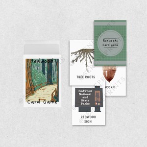 Printable Redwoods National Park Booklet and Card Game Activity for ...