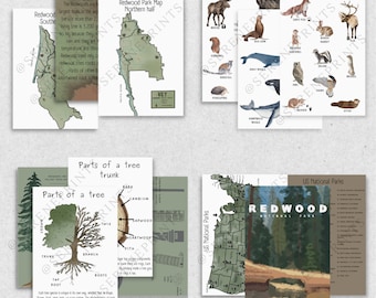 Printable Yellowstone National Park Activities for Kids - Etsy