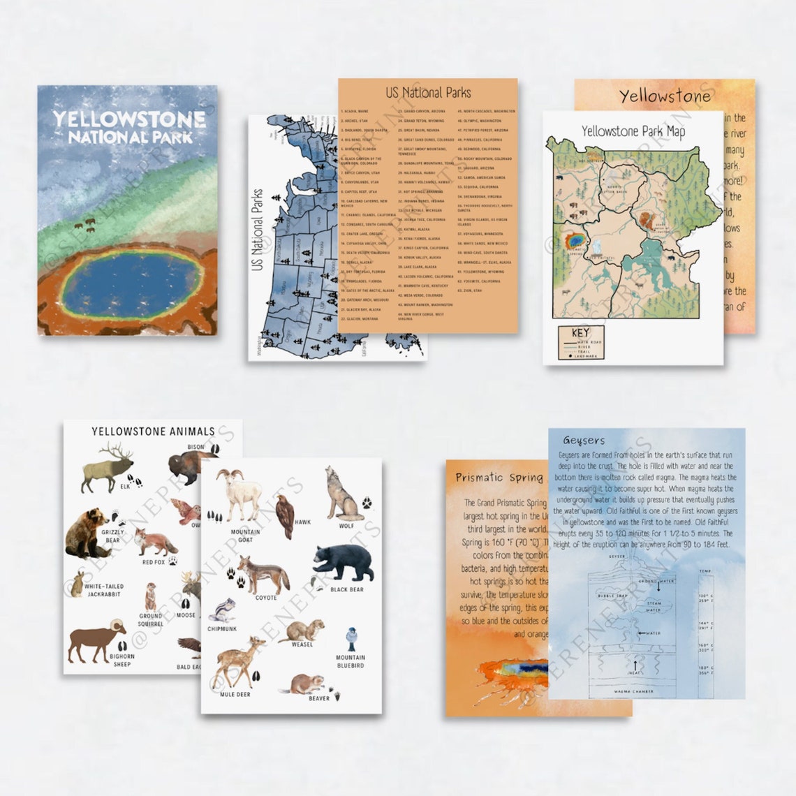 Printable Yellowstone National Park Activities for Kids - Etsy