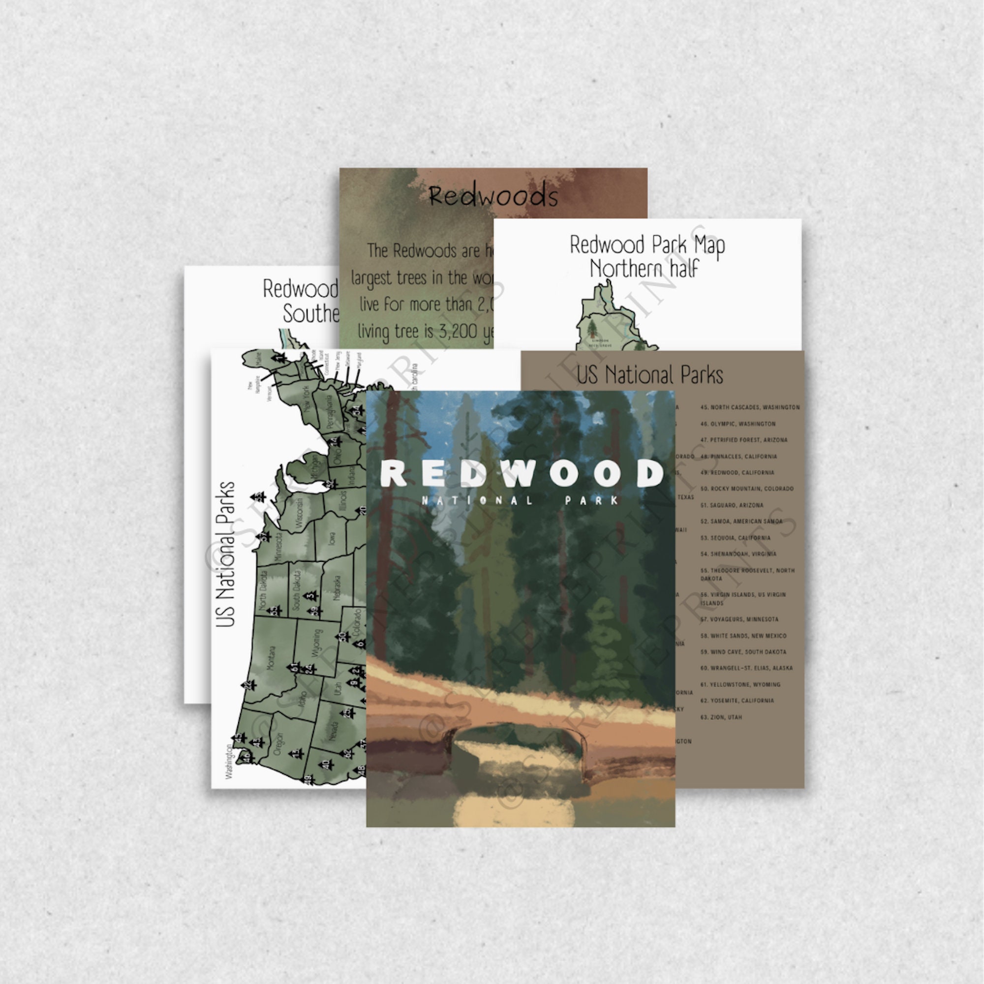 Printable Redwoods National Park Booklet and Card Game Activity for ...